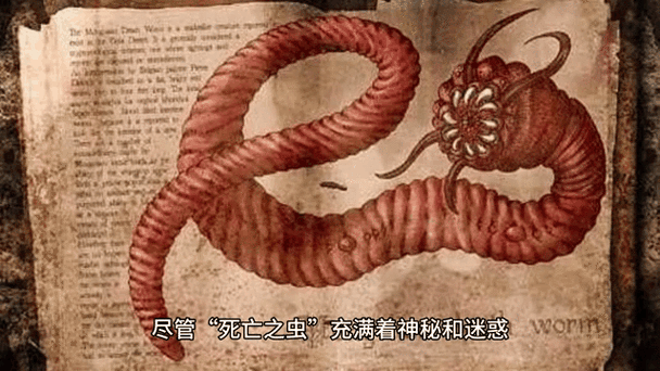 蒙古死亡蠕虫图标