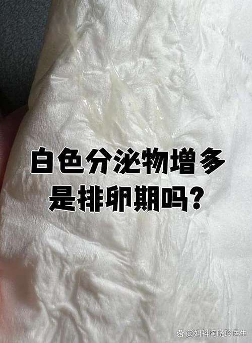 大便一半正常一半拉稀图标