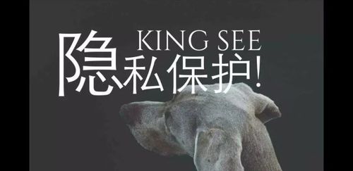 华为云盘没有私密空间图标
