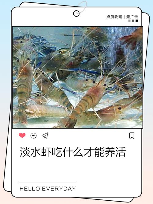 农场世界养虾怎么玩图标