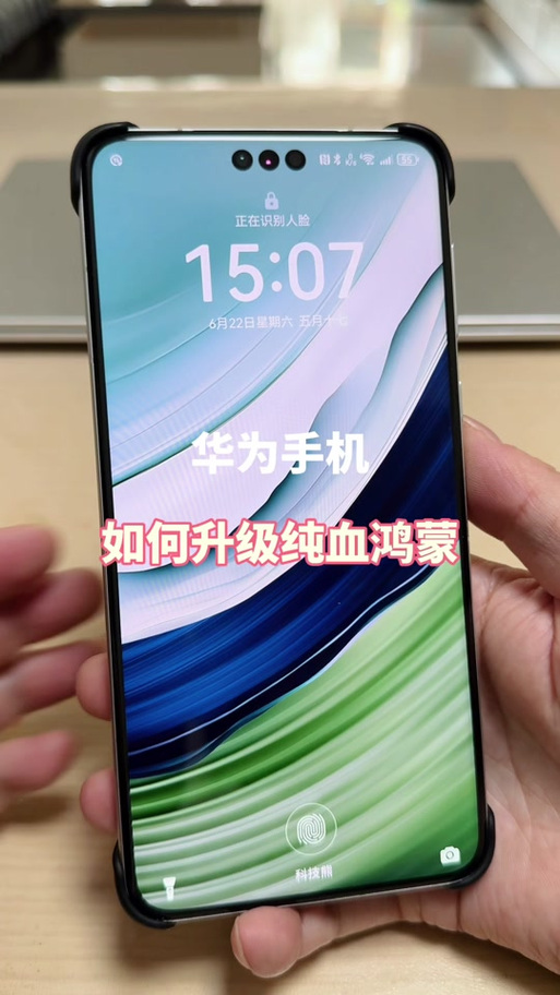 华为怎么升级鸿蒙next