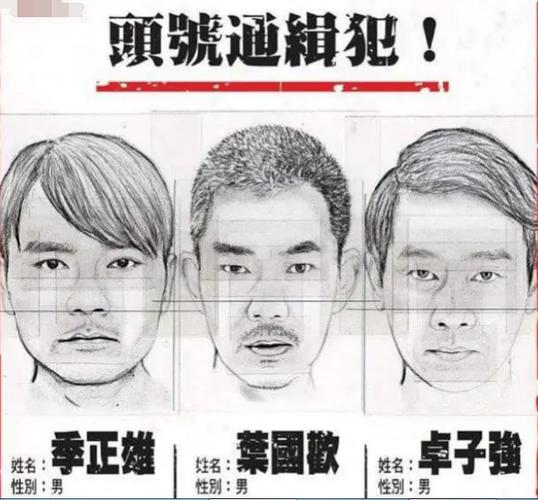 树大招风三大贼王原型图标