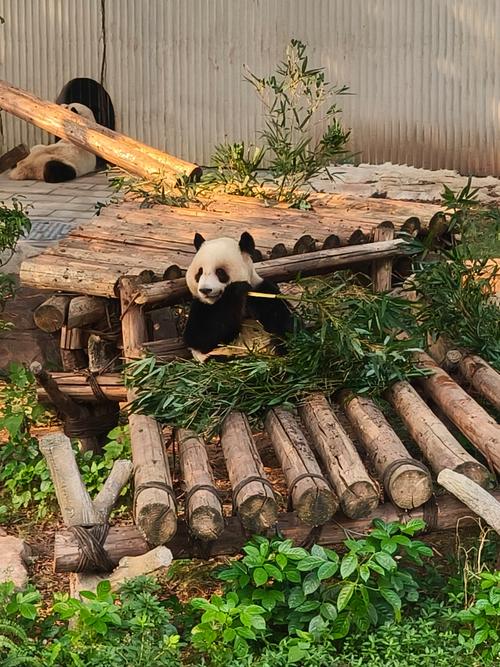 重庆万盛动物园图标