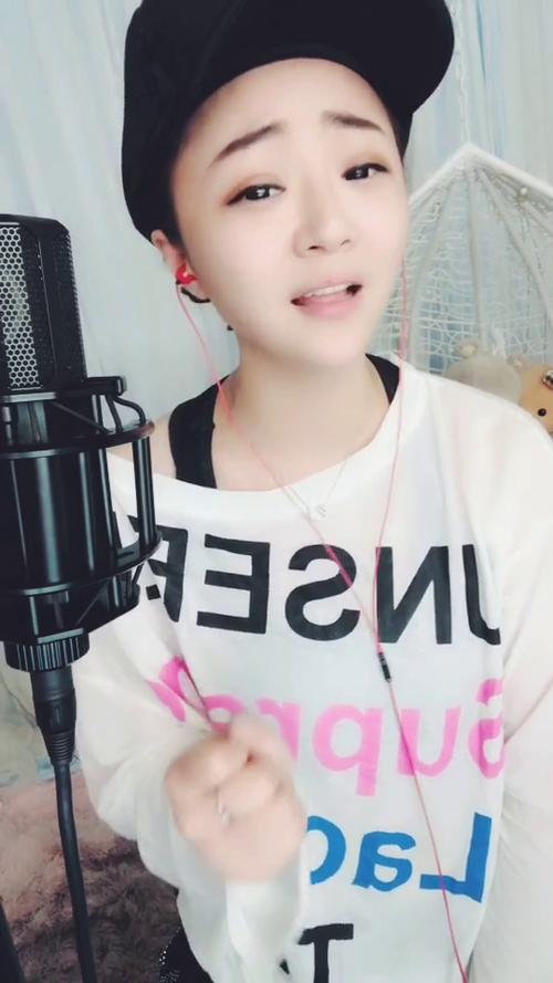 ktv唱歌怎么调升调降调图标