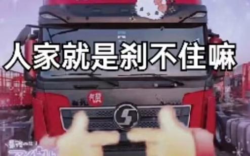 百吨王表情包缩略图
