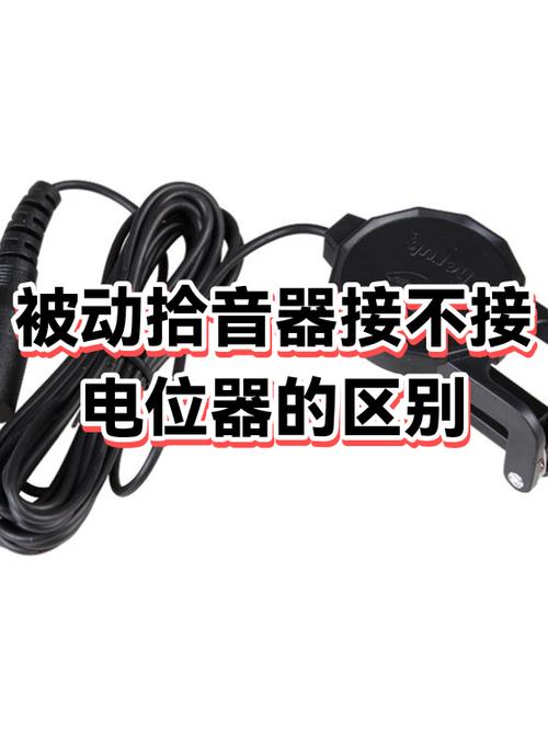 拾音器不接音响可以吗图标