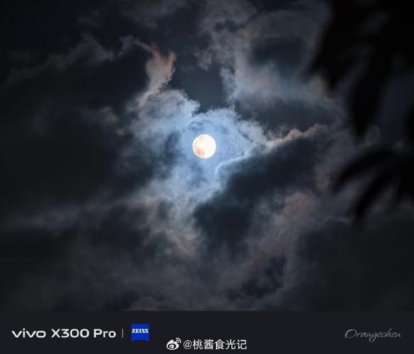 vivo专业模式拍月亮截图