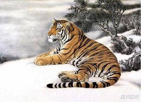薇字最旺三个生肖图标