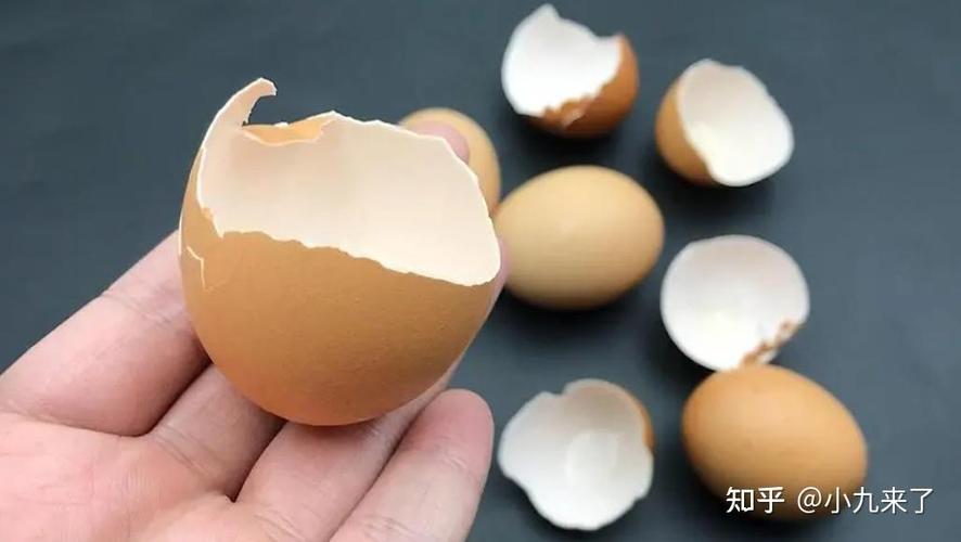 鸡蛋壳吃了有什么好处图标