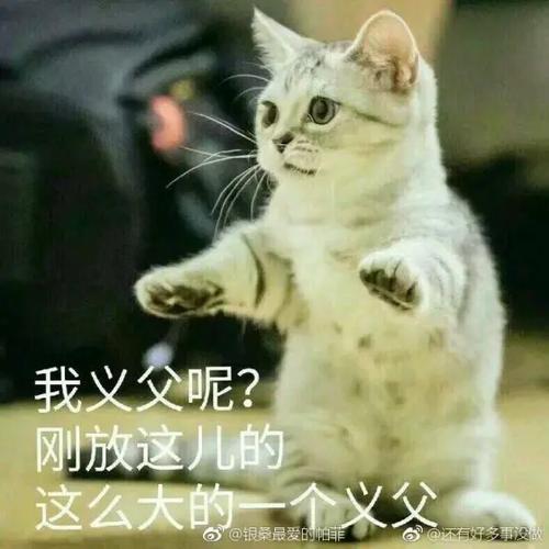 看起来很好嬷什么意思图标