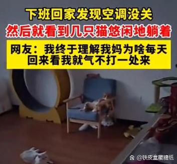 出门忘记关灯一个星期图标