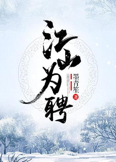 江山为聘未删减版台湾