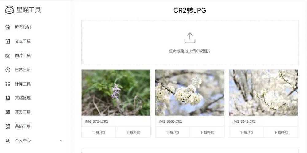佳能照片cr2转换jpg截图