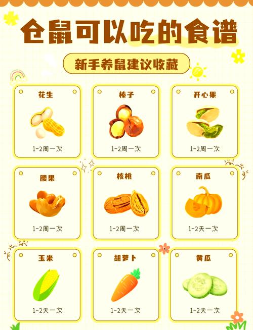 派派宠物食物等级表新版本图标