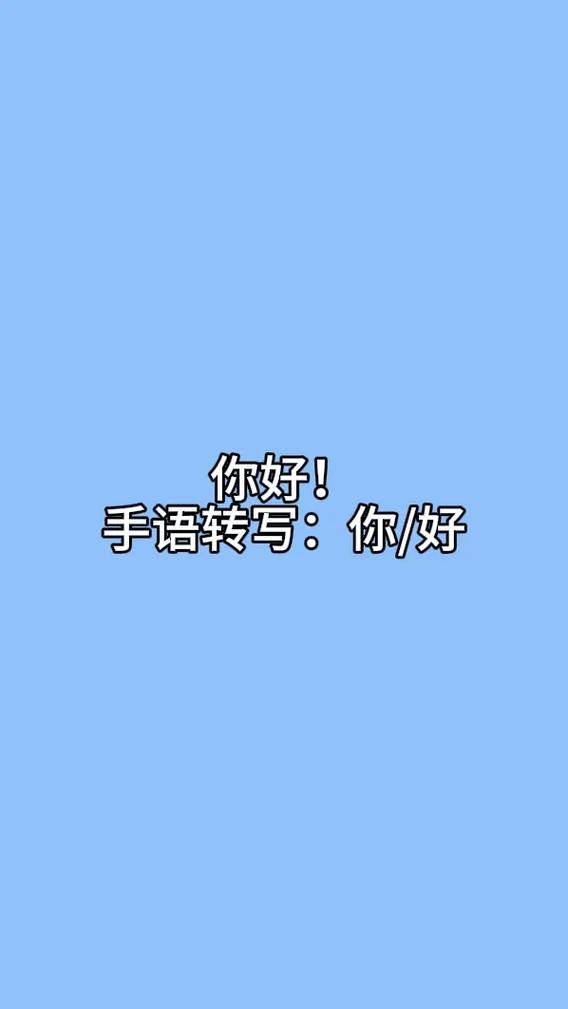 国家通用手语翻译在线截图