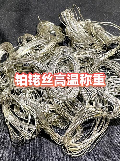 蚰蜒vs水蛭图标