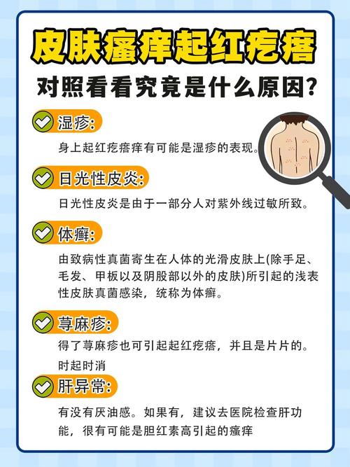 身上红疙瘩图片对照表截图
