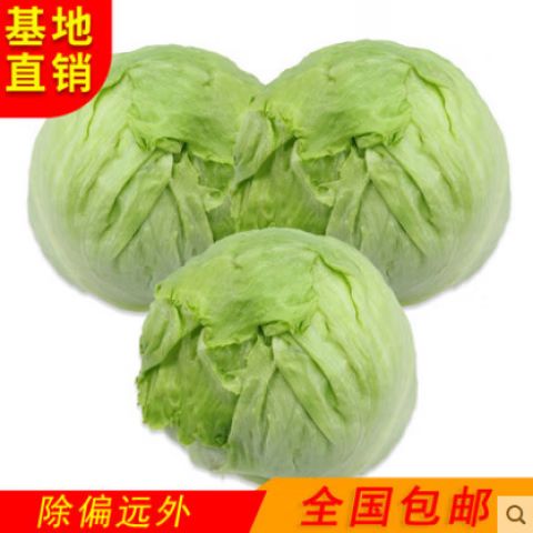 哪里能买到有机蔬菜图标