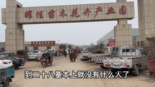 临沂苗木批发市场在哪里图标