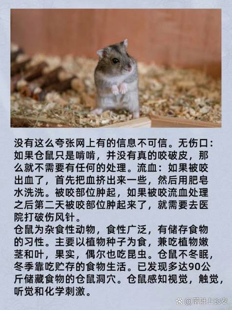 被仓鼠咬了会死吗?图标
