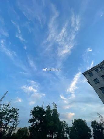 我要打卡卡图标