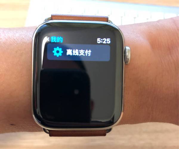 支付宝离线可以付款吗图标