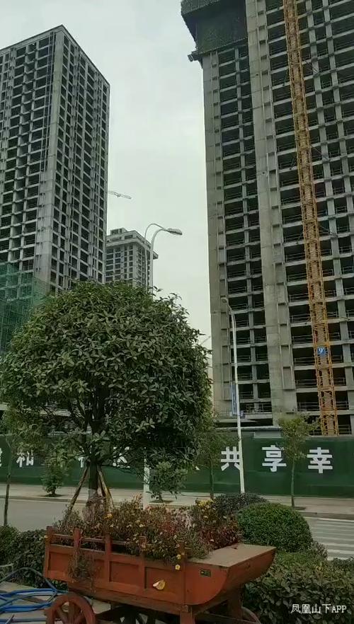 达州凤凰山下论坛启悦府图标