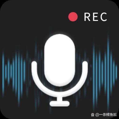 苹果免费录音软件图标