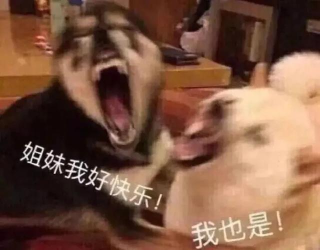 沙雕姐妹一起疯文案