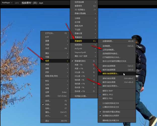 potplayer截图保存在哪里图标