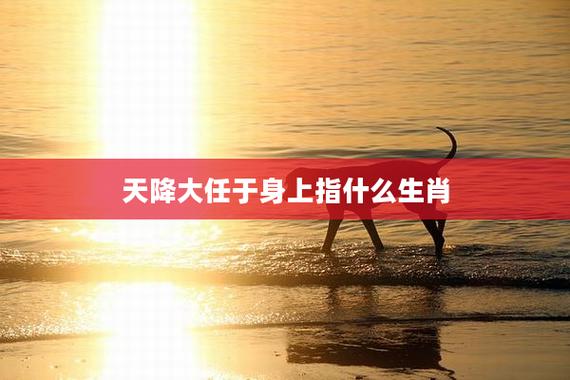 天降大任指什么生肖图标