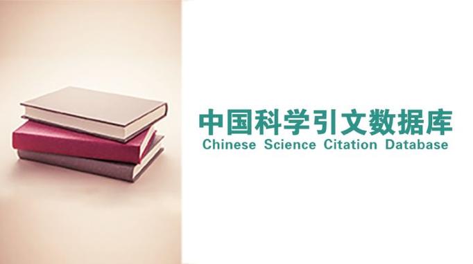中国文献数据库图标