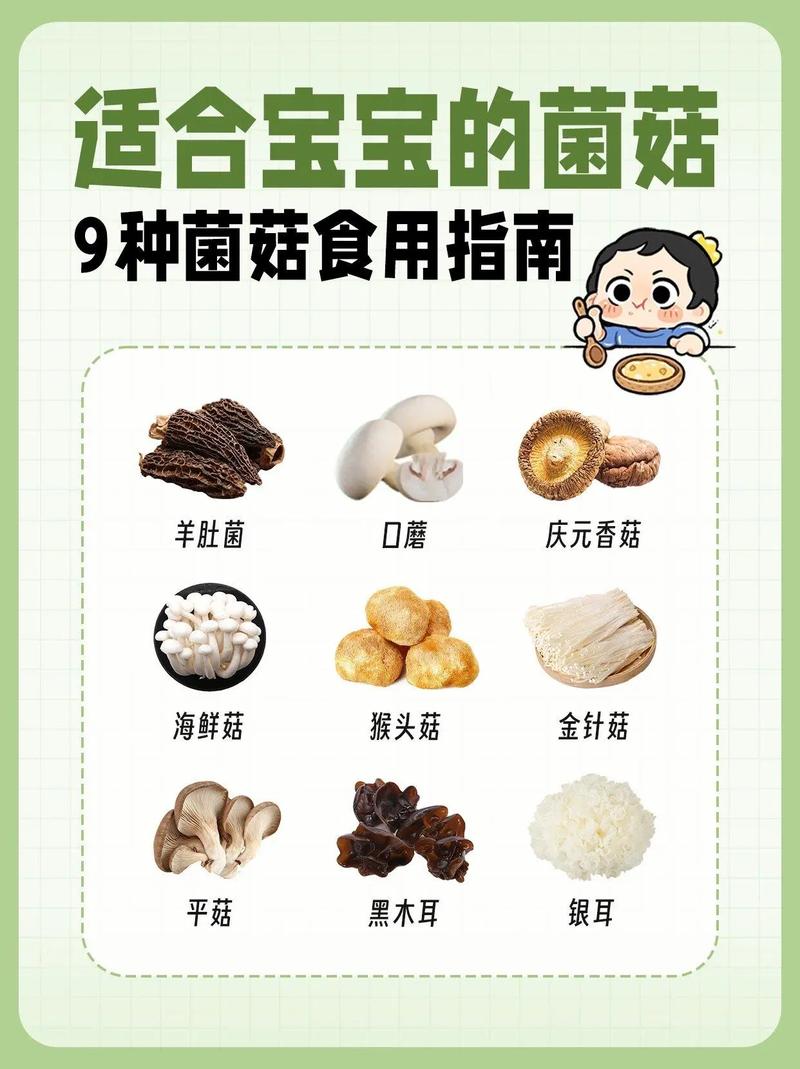 如何快速找到蘑菇岛图标