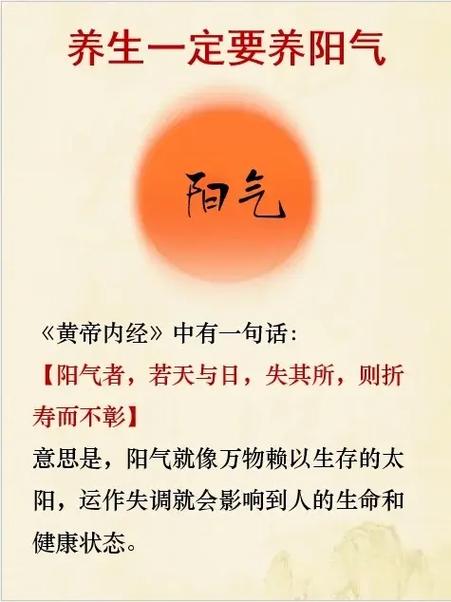 黄帝内经养生听书免费听截图
