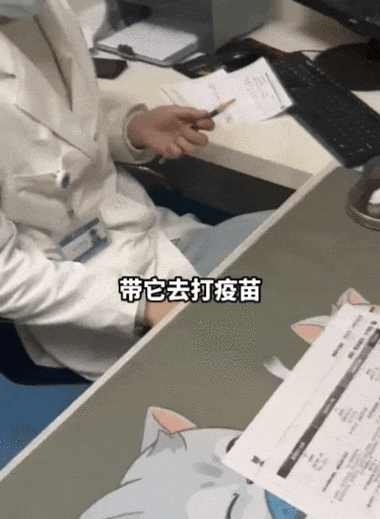 打了疫苗小豆苗没记录图标