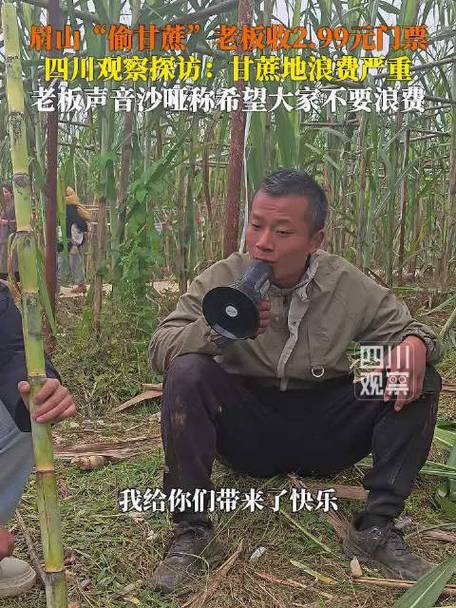 甘蔗视频来日方长截图
