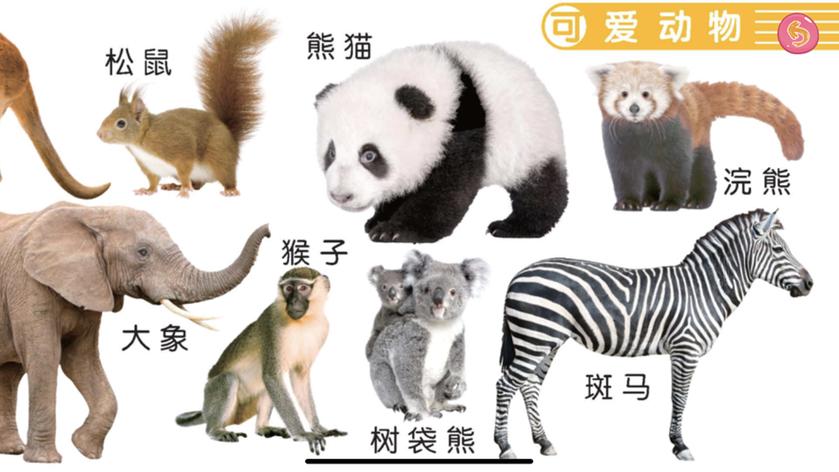 魔法动物园下载图标