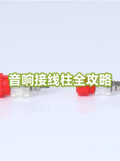 音箱4个接线柱怎么接线图标