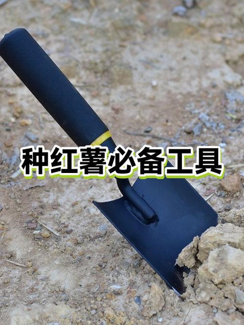 挖红薯神器图标