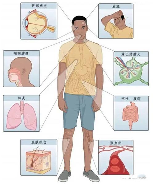 病毒对人体的危害图标