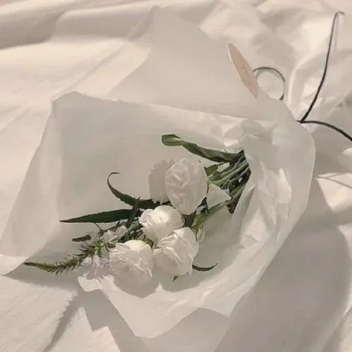 朋友圈背景图简约干净图标