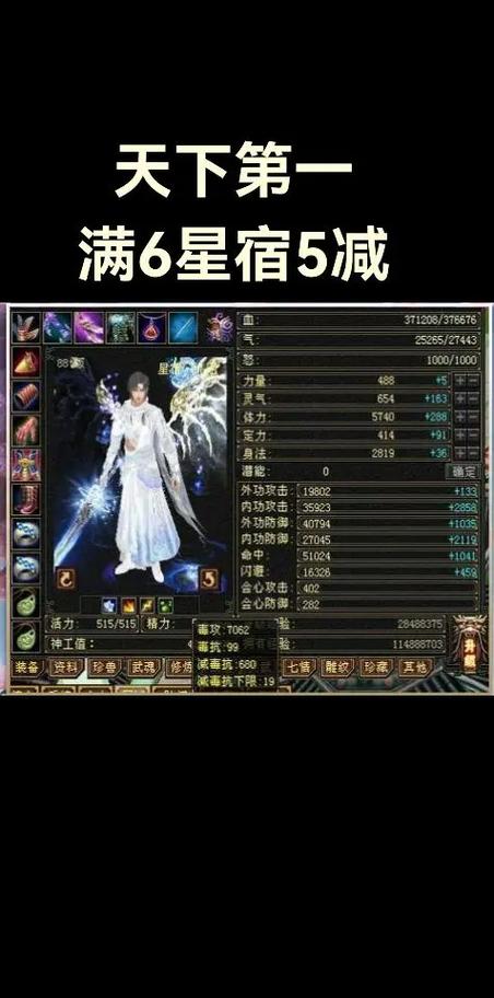 天龙八部全服第一星宿截图