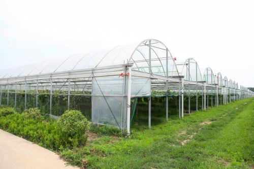阳光种植场图标