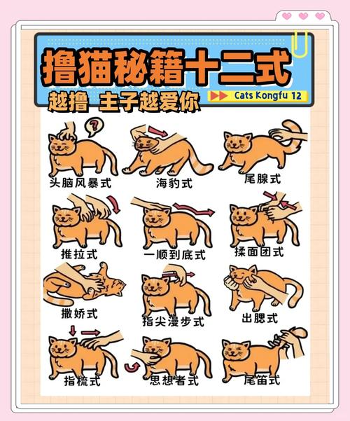 宠物养成技术之暗示技术图标