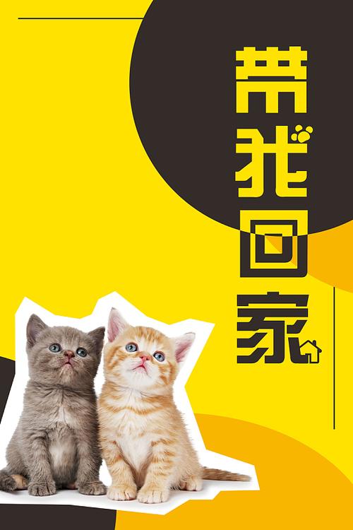 哪里可以免费领养猫咪图标