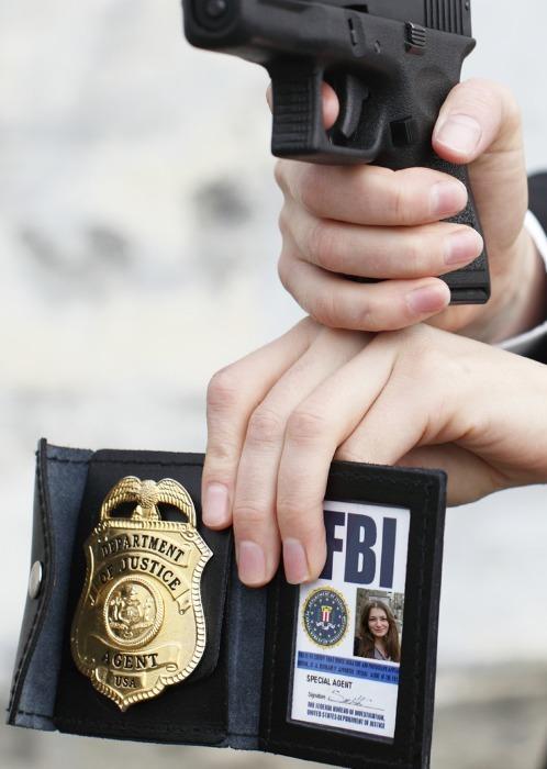 fbi高级特别探员截图