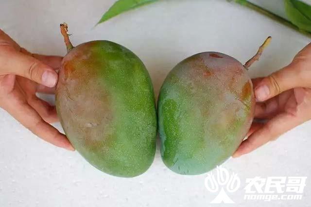 芒果tv在哪里扫码登录图标