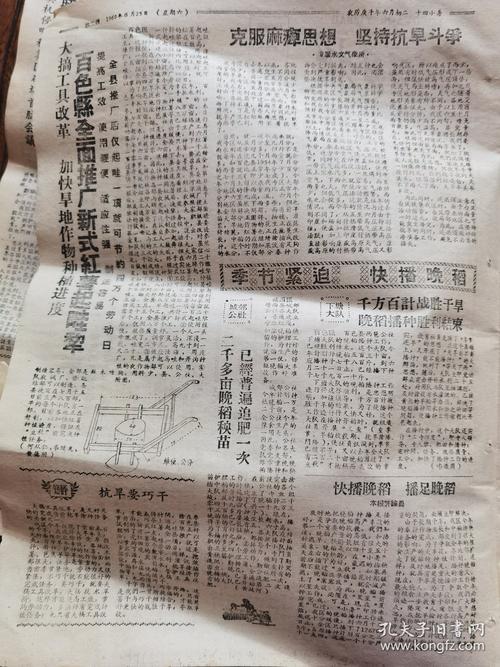 右江日报图标