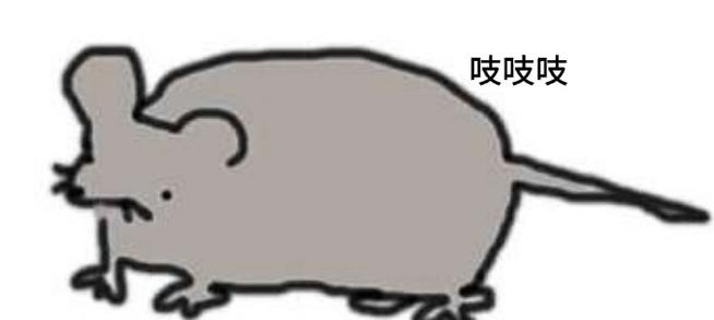 外网很火的灰色老鼠表情包截图