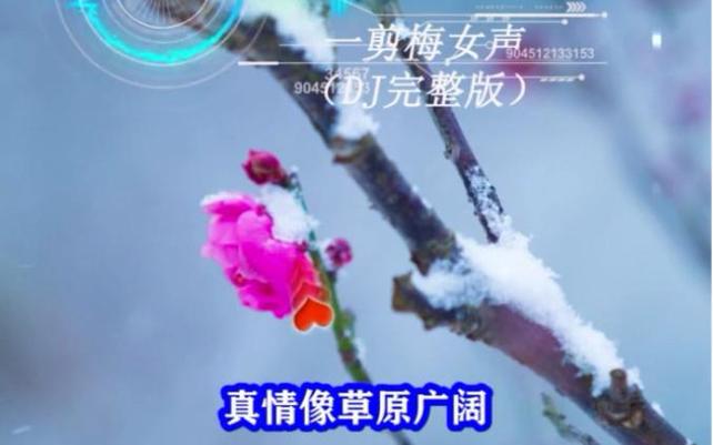 一剪梅DJ版